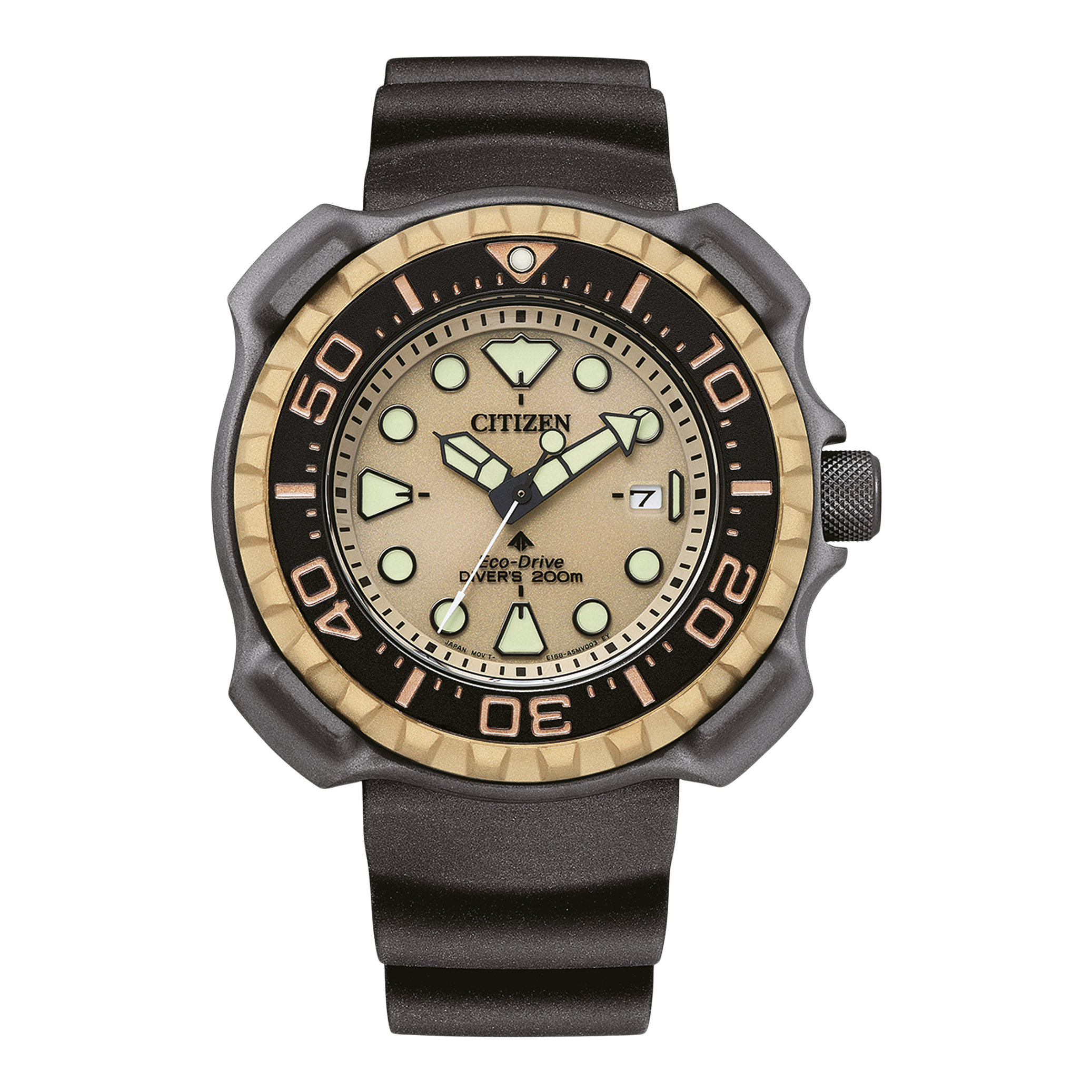 Promaster | Citizen Onlineshop